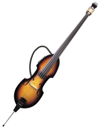 エレクトリック・アップライト・ベース SWB-04 (Aria)に物欲が高まるも・・: ロボット人間の散歩道